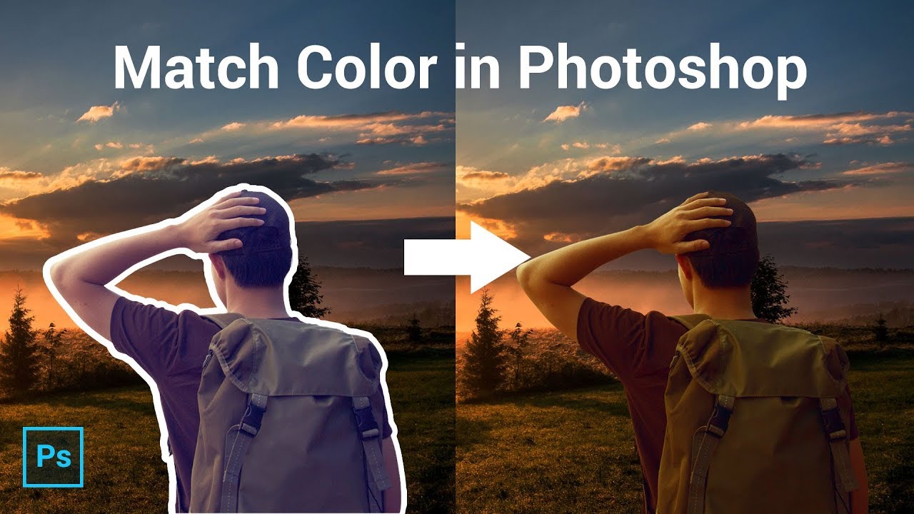 Unveiling the Art of Color Matching: A Comprehensive Guide to Matching ...